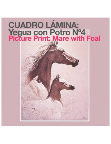 Poster Égua e Poldro