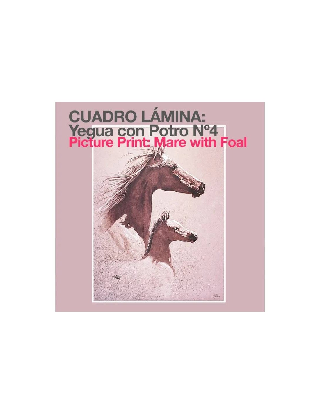 Poster Égua e Poldro